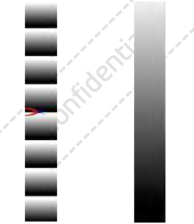 [PaX-i Plus] E003.020.00x : Errors that occur when capturing fails